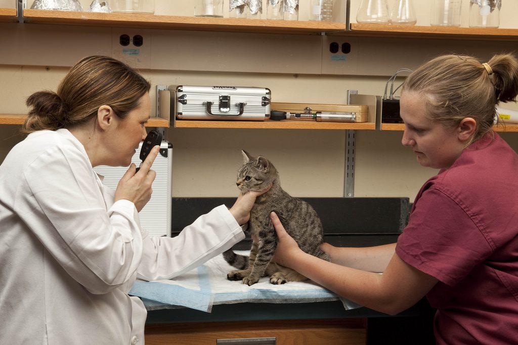 Support – McLellan Lab – UW–Madison